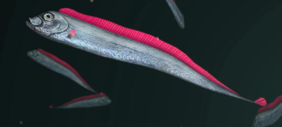 Slender Ribbonfish | Endless Ocean Wiki | Fandom