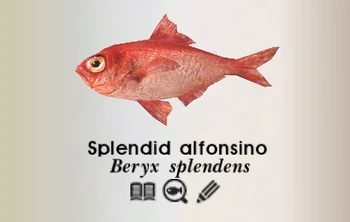 Splendid Alfonsino | Endless Ocean Wiki | Fandom