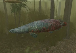 Arapaima | Endless Ocean Wiki | Fandom