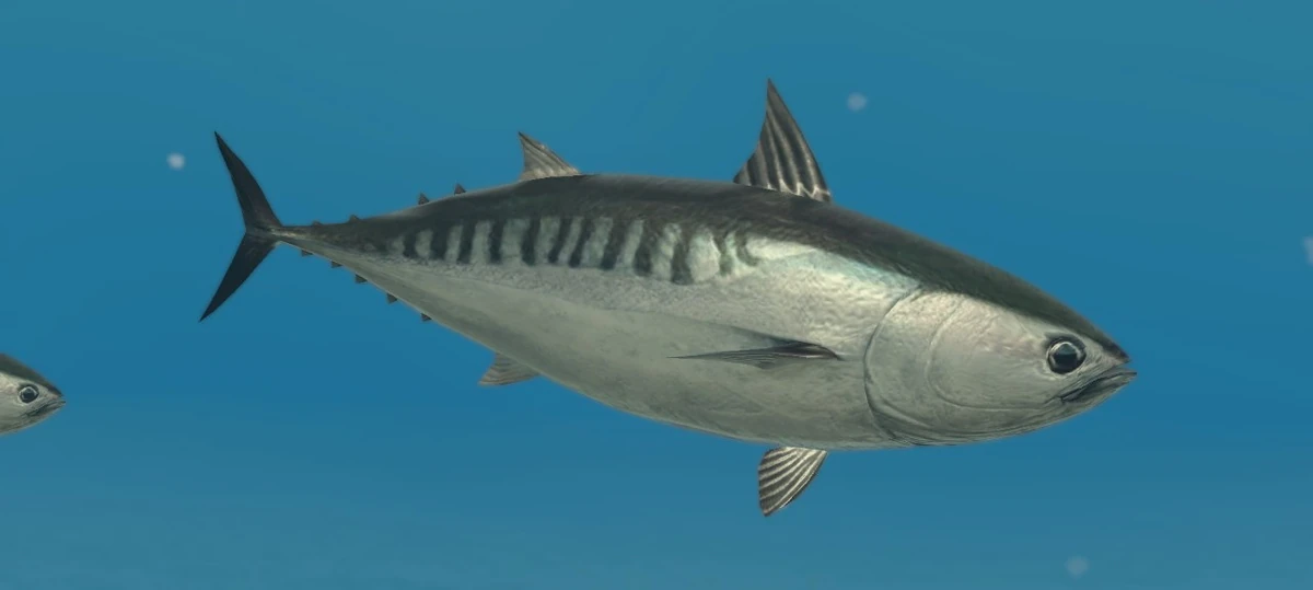 Bullet Tuna | Endless Ocean Wiki | Fandom