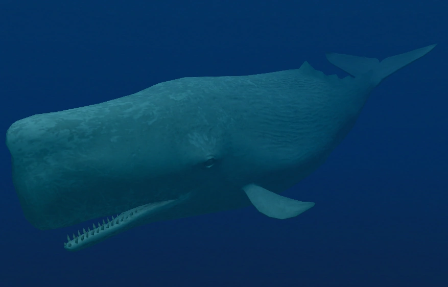 Leviathan | Endless Ocean Wiki | Fandom