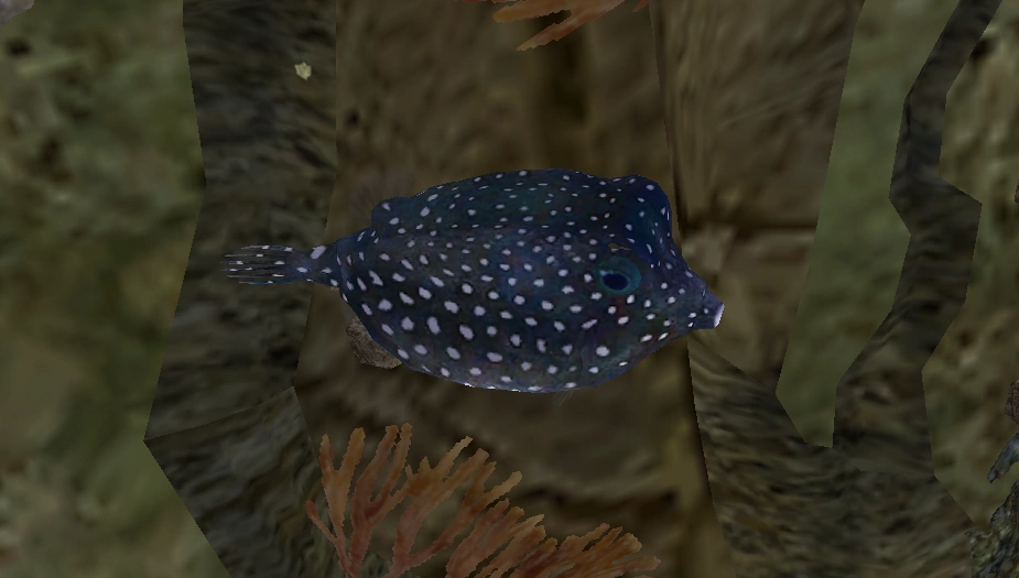 Whitespotted Boxfish | Endless Ocean Wiki | Fandom