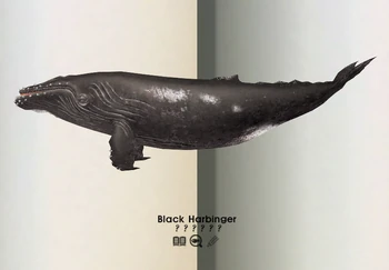 Black Harbinger | Endless Ocean Wiki | Fandom
