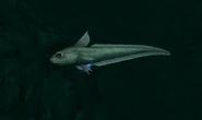 Popeye Grenadier | Endless Ocean Wiki | Fandom