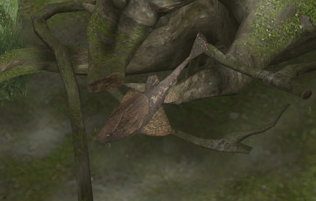 Banjo Catfish | Endless Ocean Wiki | Fandom