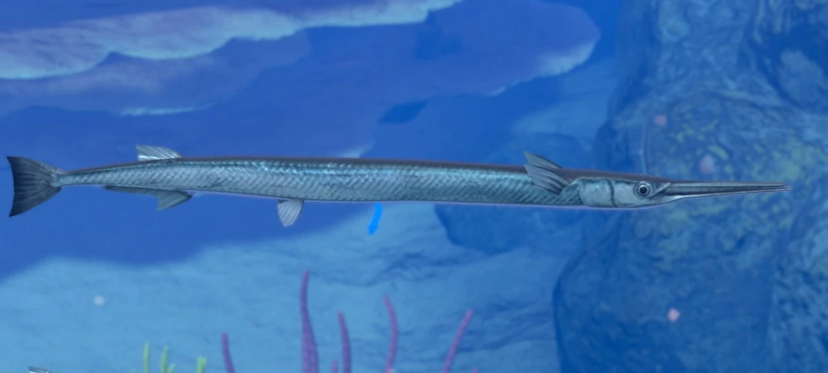 Pacific Needlefish | Endless Ocean Wiki | Fandom
