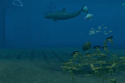 Valka Castle | Endless Ocean Wiki | Fandom