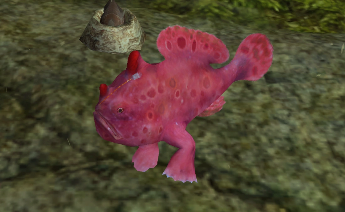 Painted Frogfish | Endless Ocean Wiki | Fandom