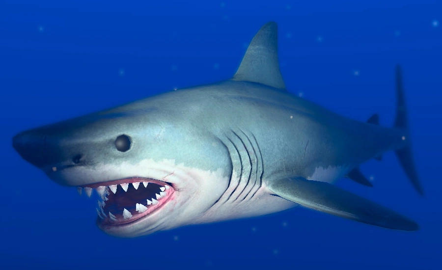 Megalodon | Endless Ocean Wiki | Fandom