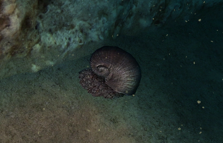 Scaled Shell | Endless Ocean Wiki | Fandom