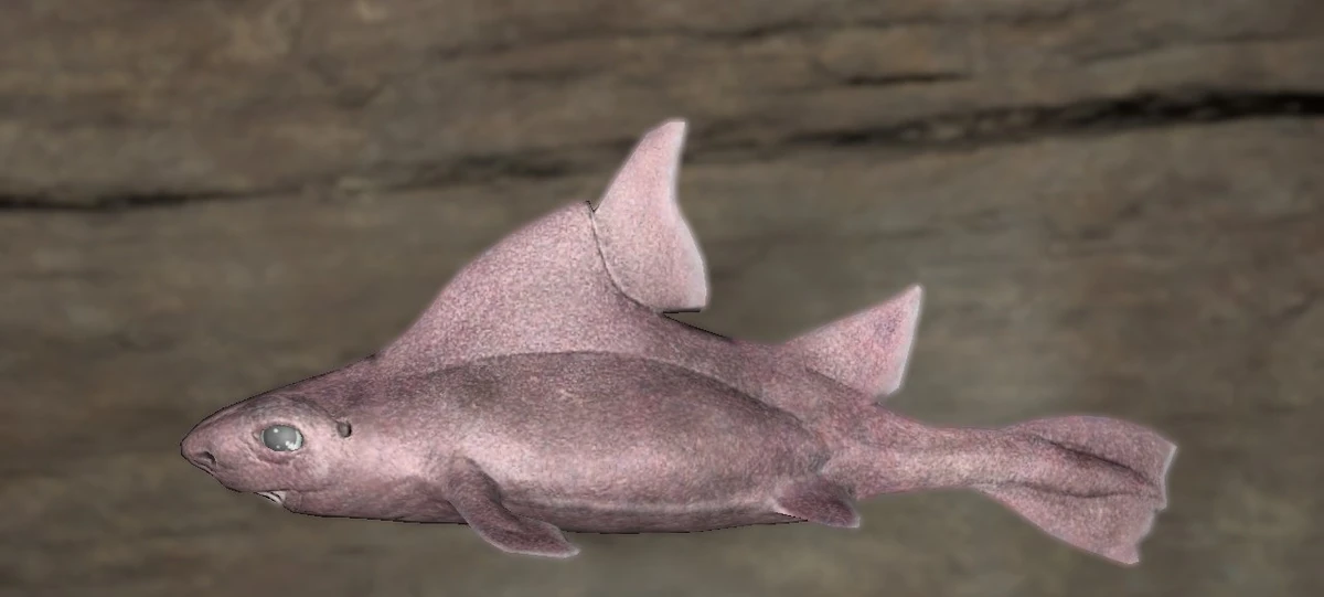 Prickly Dogfish | Endless Ocean Wiki | Fandom