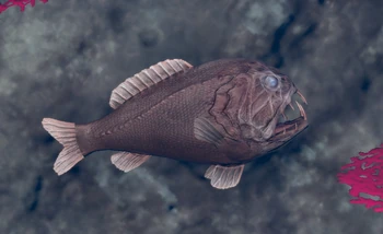 Common Fangtooth | Endless Ocean Wiki | Fandom