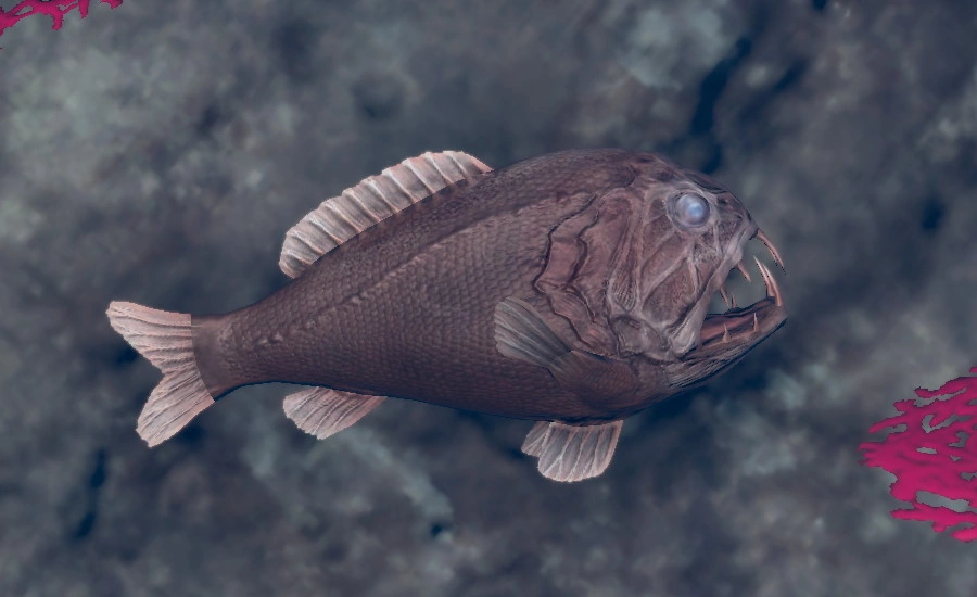 Common Fangtooth | Endless Ocean Wiki | Fandom