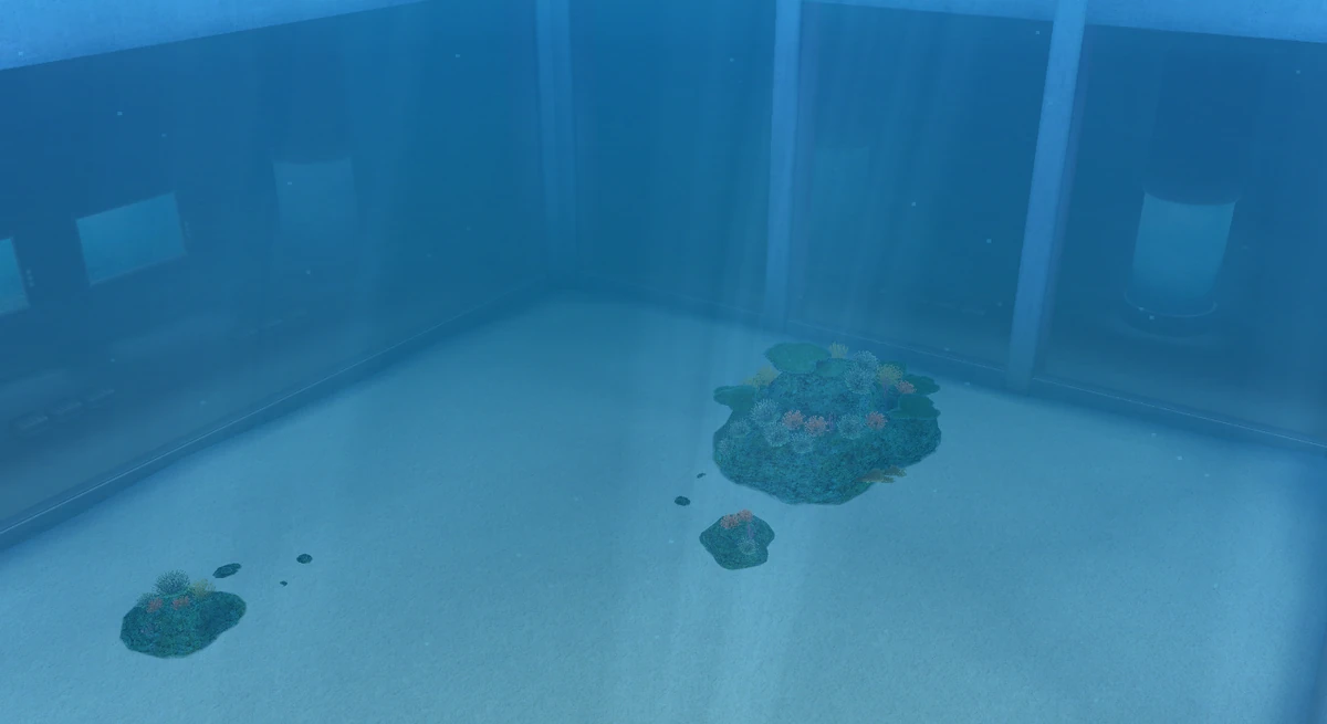 Aquarium (Endless Ocean) | Endless Ocean Wiki | Fandom