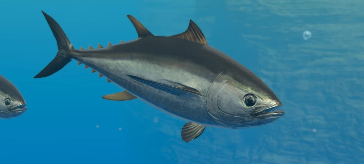 Longtail Tuna | Endless Ocean Wiki | Fandom