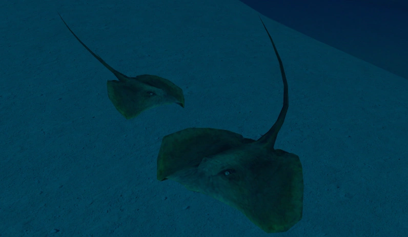 Red Stingray | Endless Ocean Wiki | Fandom