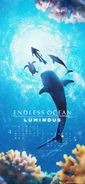 Endless Ocean Luminous | Endless Ocean Wiki | Fandom