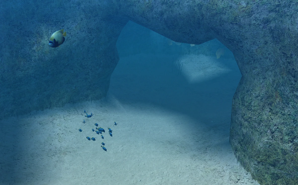 The Gem Chest of Loa | Endless Ocean Wiki | Fandom