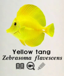 Yellow Tang | Endless Ocean Wiki | Fandom