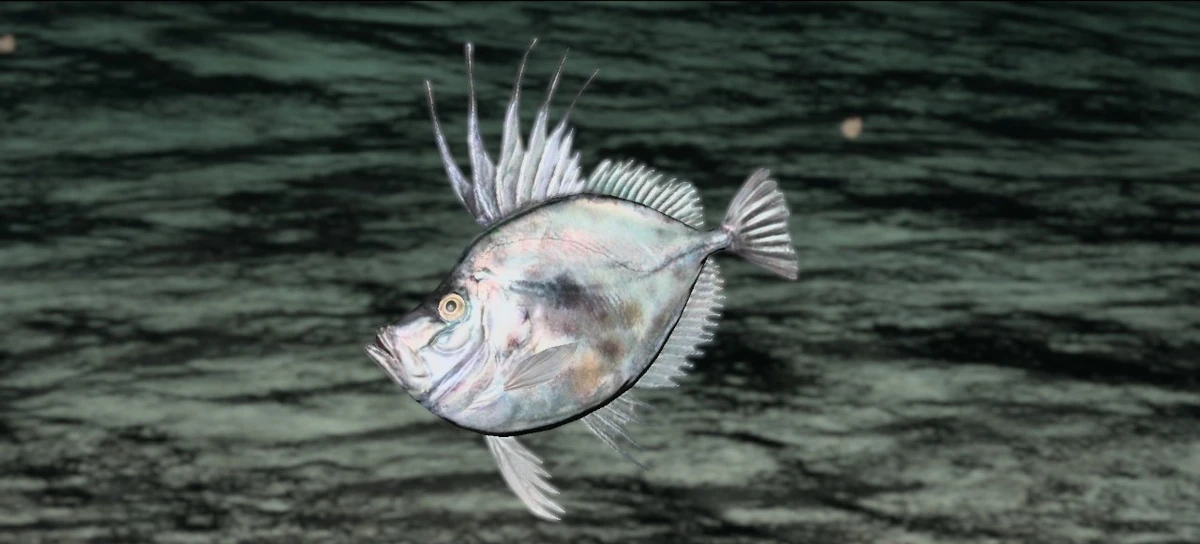 Mirror Dory | Endless Ocean Wiki | Fandom