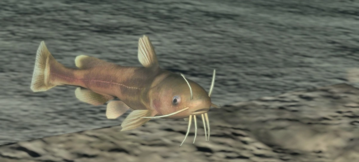 Cut-Tailed Bullhead | Endless Ocean Wiki | Fandom