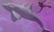 Orca | Endless Ocean Wiki | Fandom