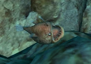 Humpback Anglerfish | Endless Ocean Wiki | Fandom