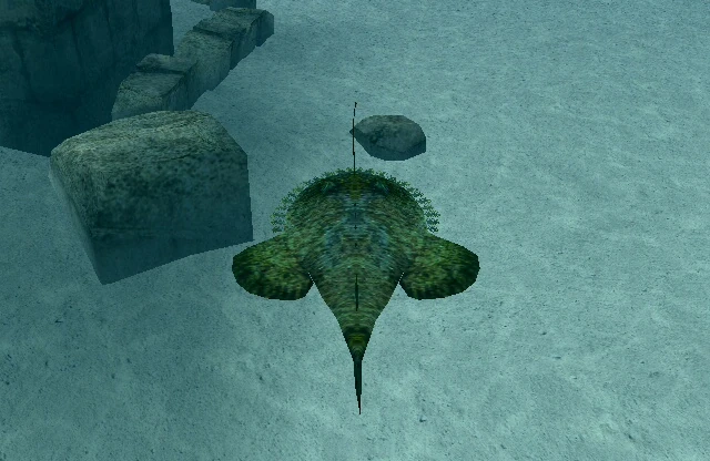 Monkfish Underwater