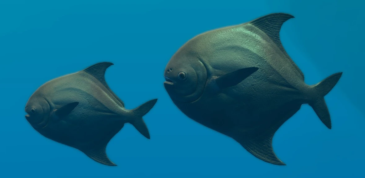 Butterfish | Endless Ocean Wiki | Fandom