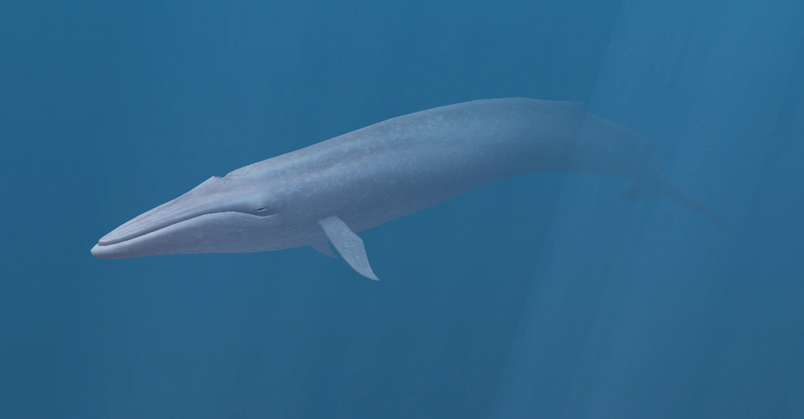 Category:Creatures | Endless Ocean Wiki | Fandom