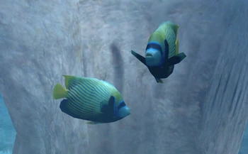 Emperor Angelfish | Endless Ocean Wiki | Fandom