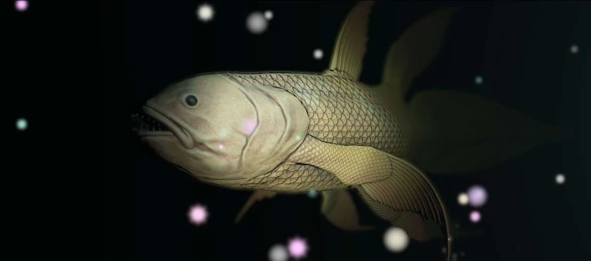 Raja Emas | Endless Ocean Wiki | Fandom