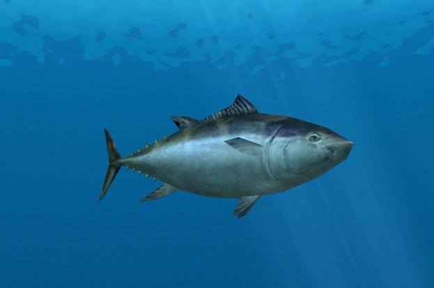 Atlantic Bluefin Tuna | Endless Ocean Wiki | Fandom
