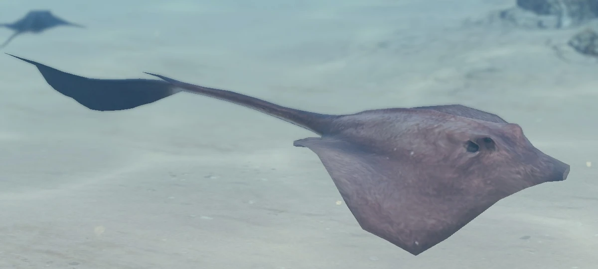Broad Cowtail Ray | Endless Ocean Wiki | Fandom