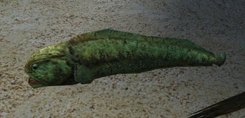 Bering Wolffish | Endless Ocean Wiki | Fandom