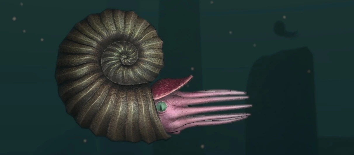 Parapuzosia | Endless Ocean Wiki | Fandom