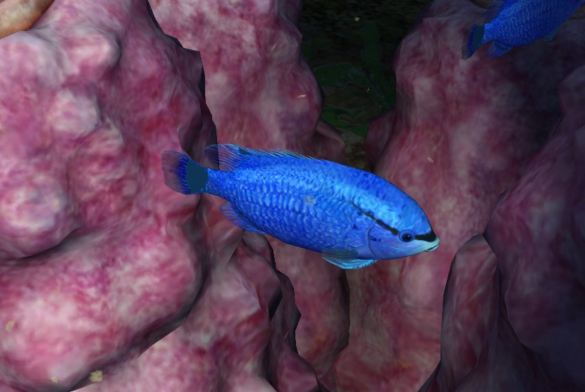 Sapphire Devil | Endless Ocean Wiki | Fandom