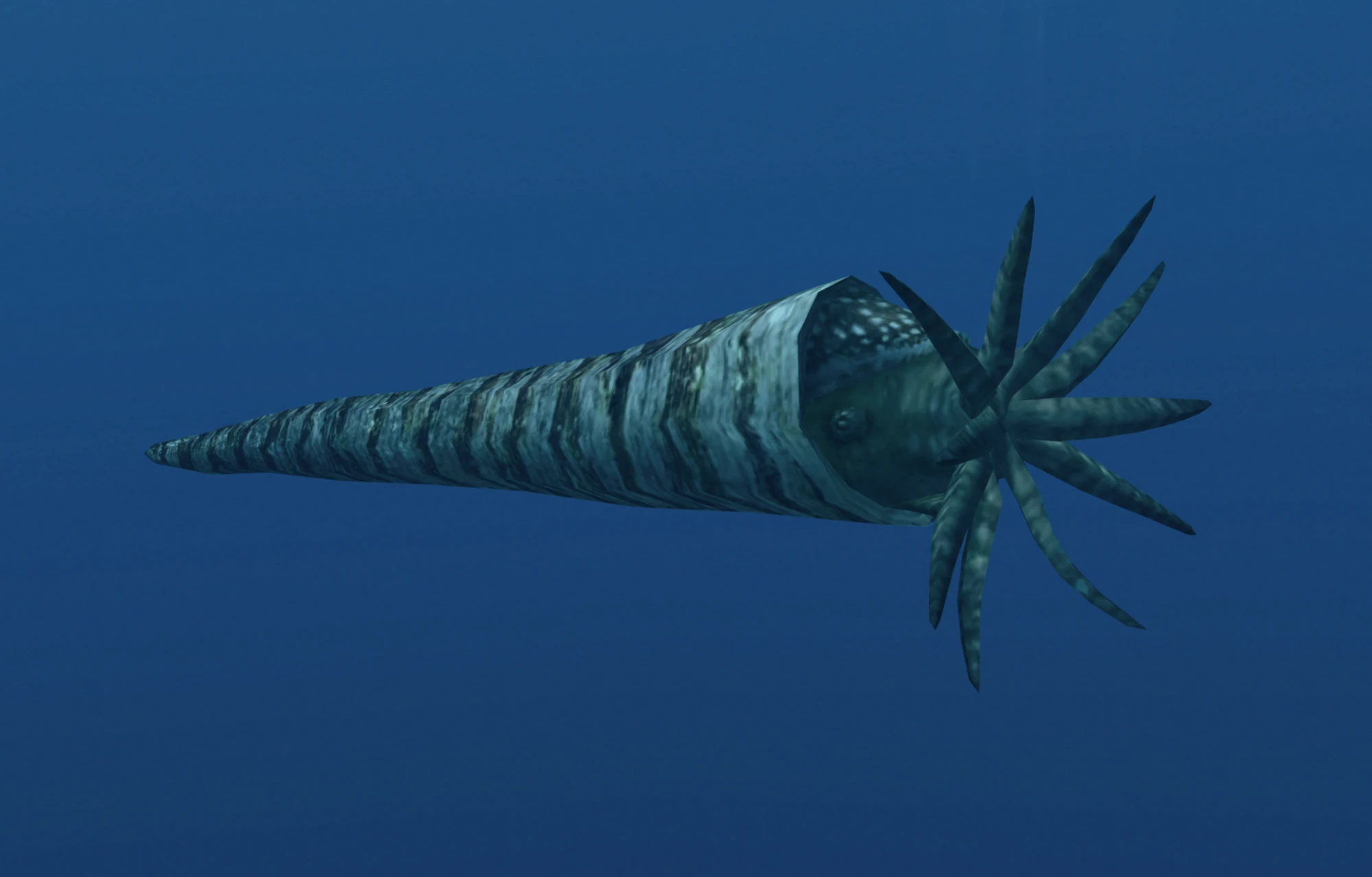 Cameroceras | Endless Ocean Wiki | Fandom