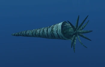 Cameroceras | Endless Ocean Wiki | Fandom