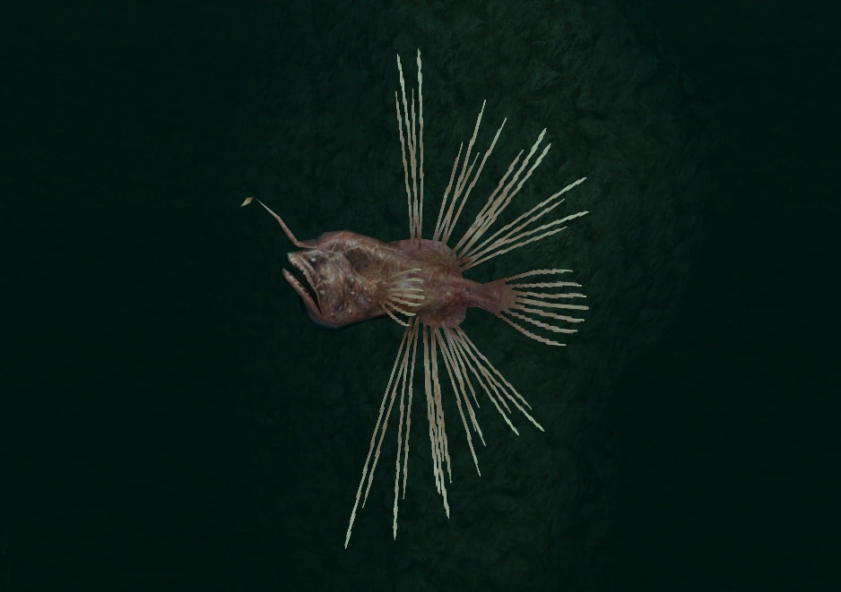 Fanfin Anglerfish