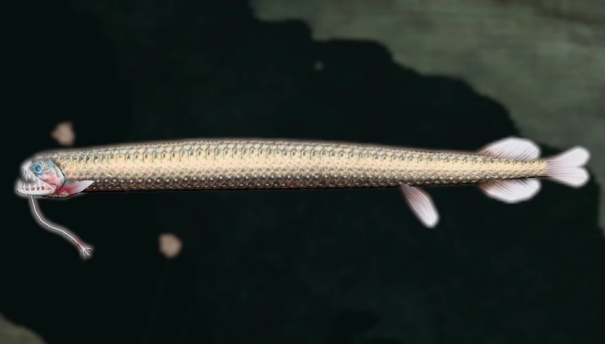 Boa Dragonfish | Endless Ocean Wiki | Fandom