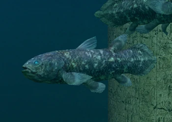 Coelacanth | Endless Ocean Wiki | Fandom