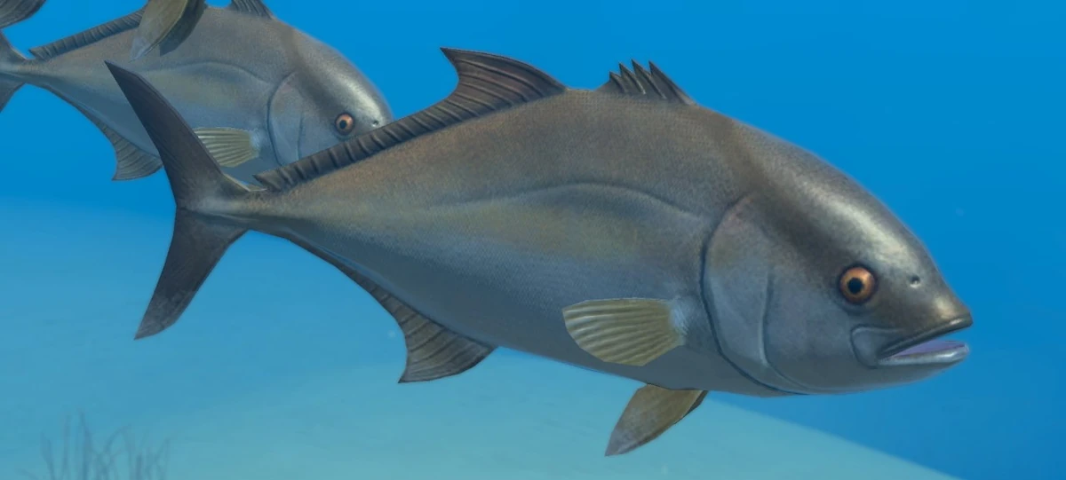 Greater Amberjack | Endless Ocean Wiki | Fandom