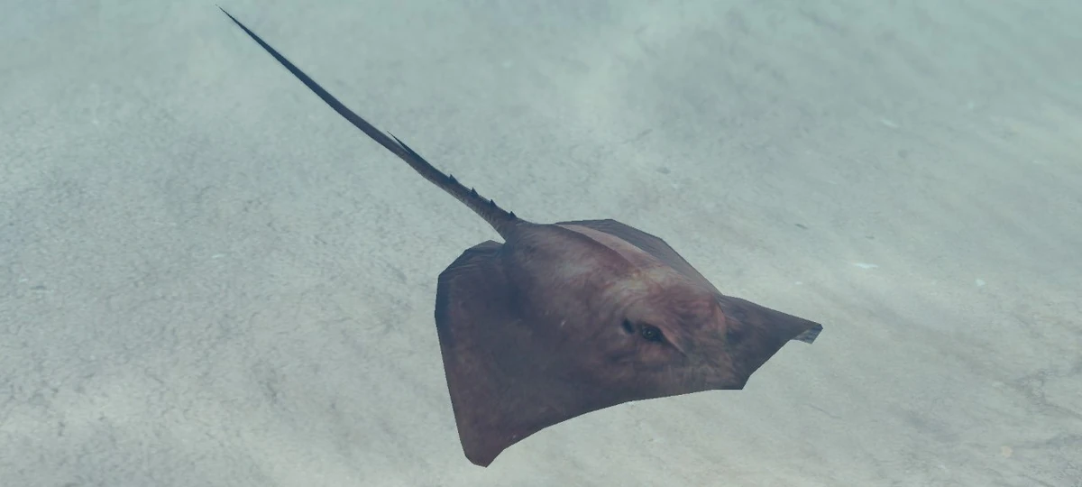 Red Stingray | Endless Ocean Wiki | Fandom