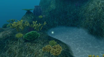 Cetus Coin | Endless Ocean Wiki | Fandom