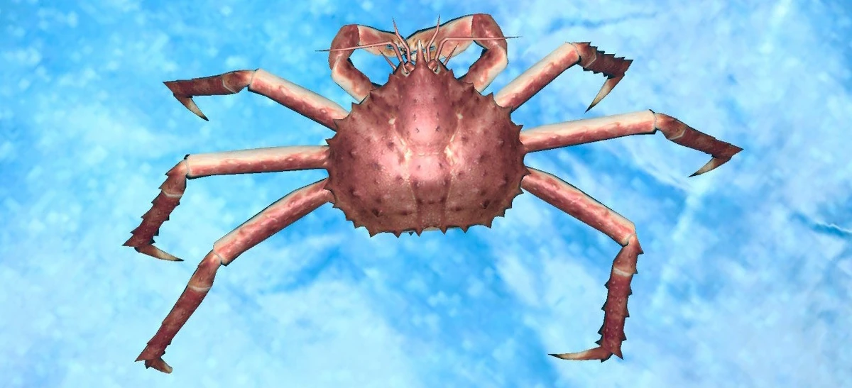 Red King Crab | Endless Ocean Wiki | Fandom