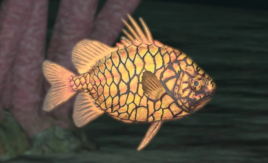 Pineconefish | Endless Ocean Wiki | Fandom