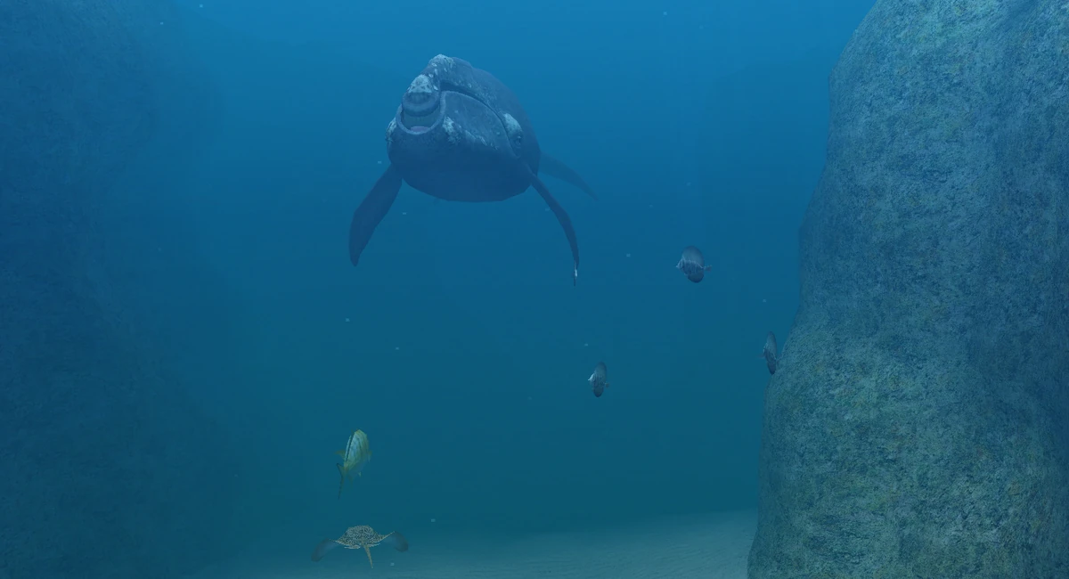 Wild Channel | Endless Ocean Wiki | Fandom