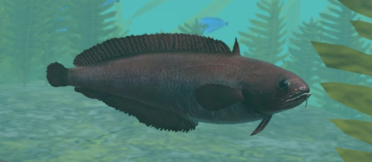 Japanese Codling | Endless Ocean Wiki | Fandom