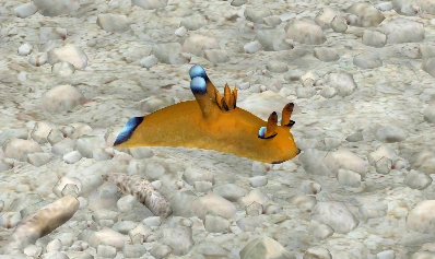 Pikachu Sea Slug